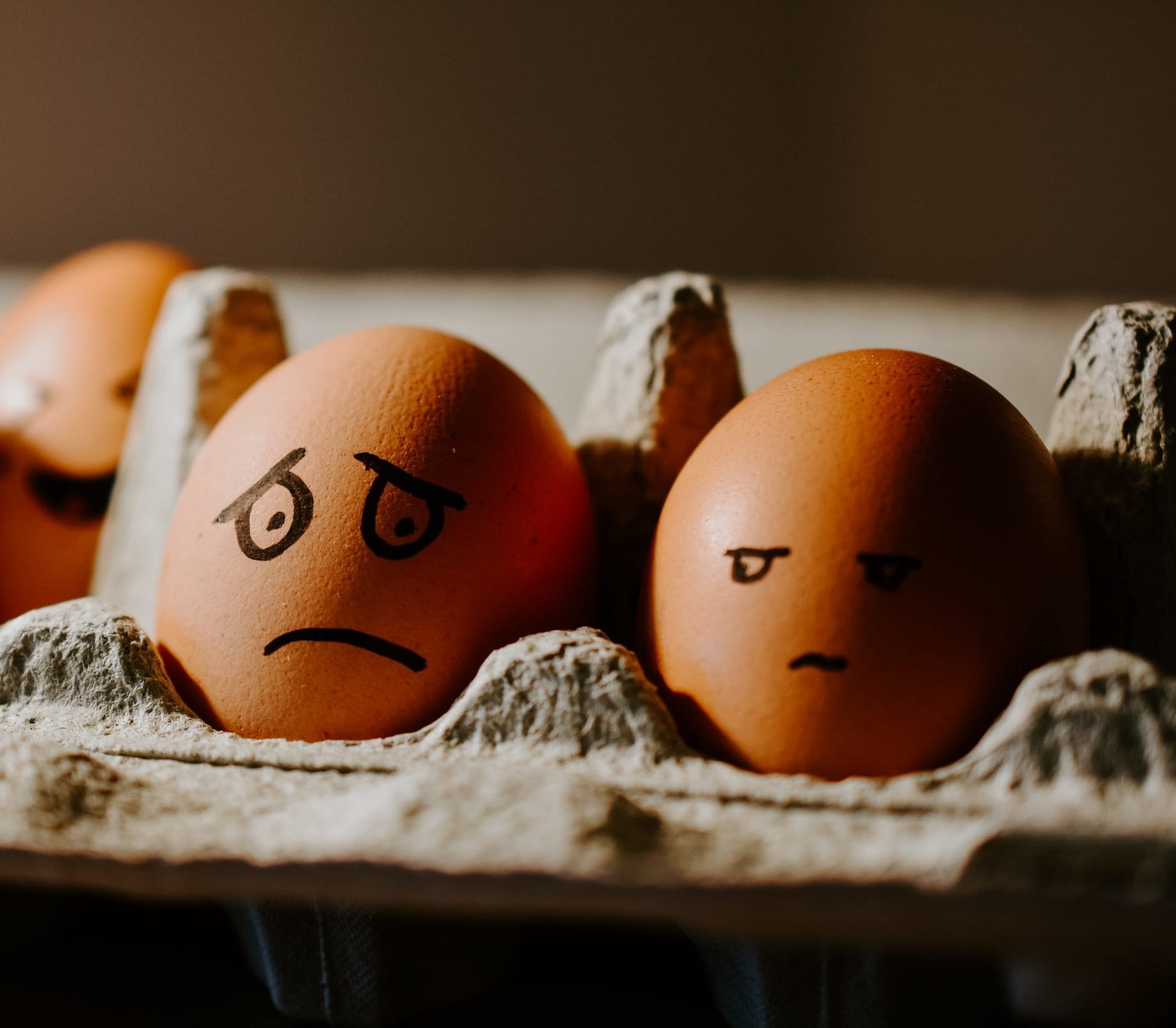 4 Steps to avoid “stupid” arguments - Workability Inc.